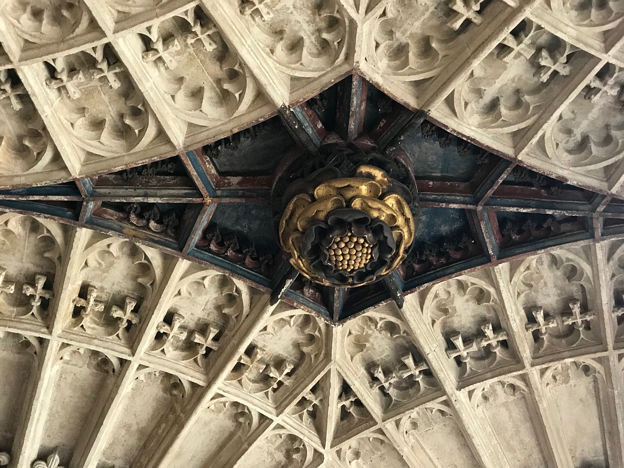 Discover – David Parr House