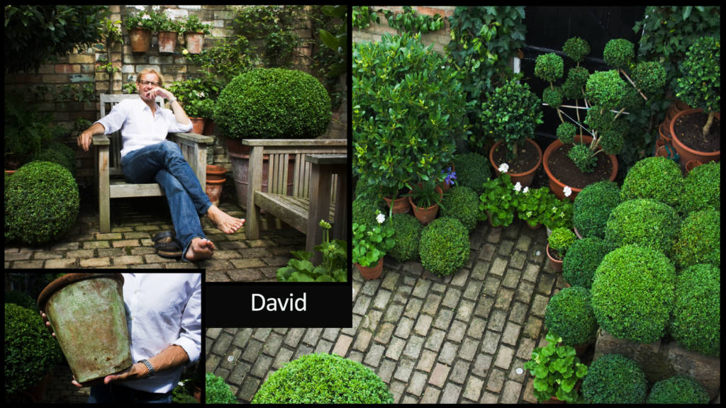 A Space of One’s Own: David – David Parr House